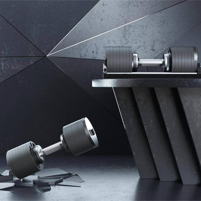 Snode AD80 Adjustable Dumbbells & Stand Set | MAXUM Fitness